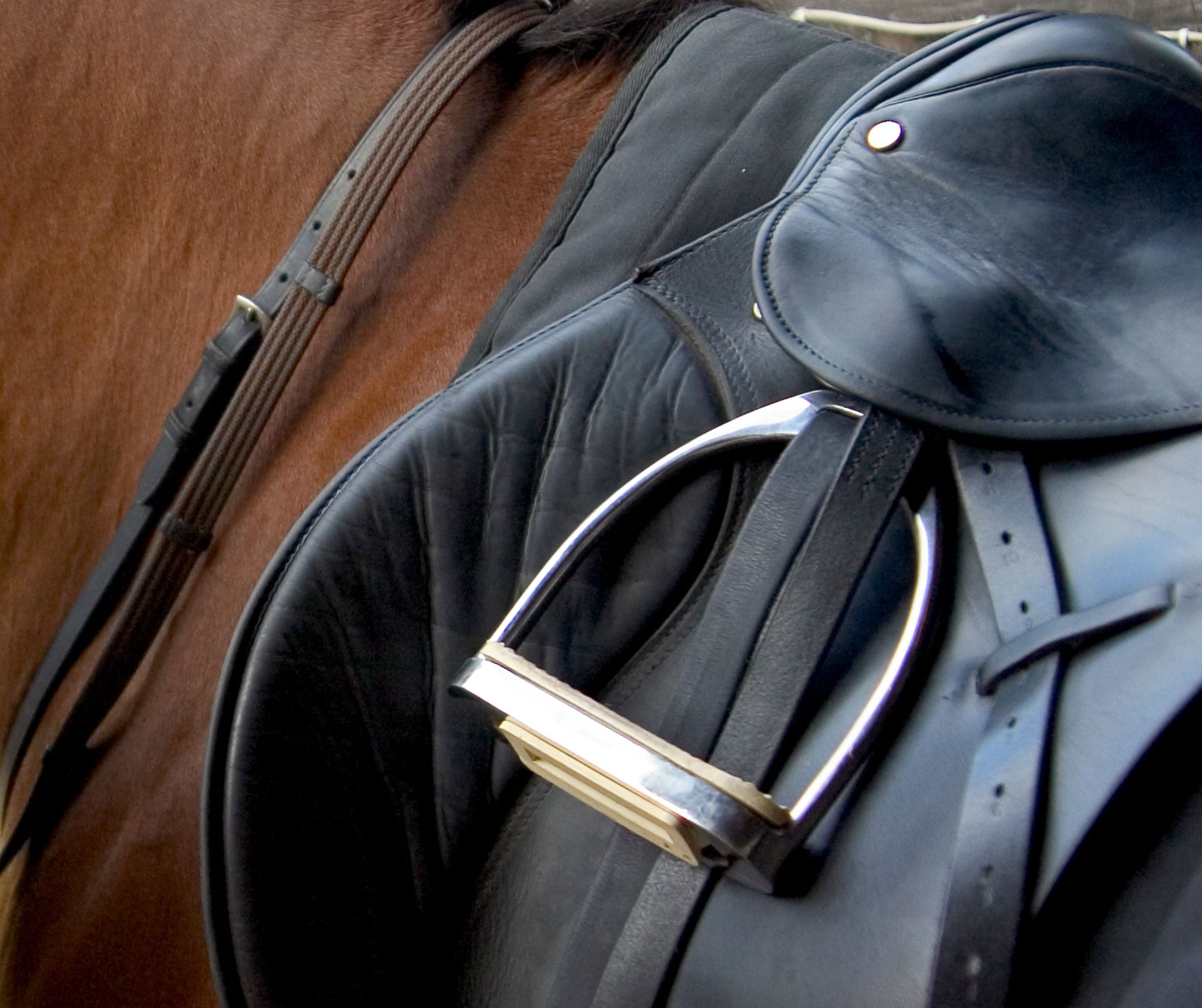 Irons – South Holmestead Saddlery Ltd IE