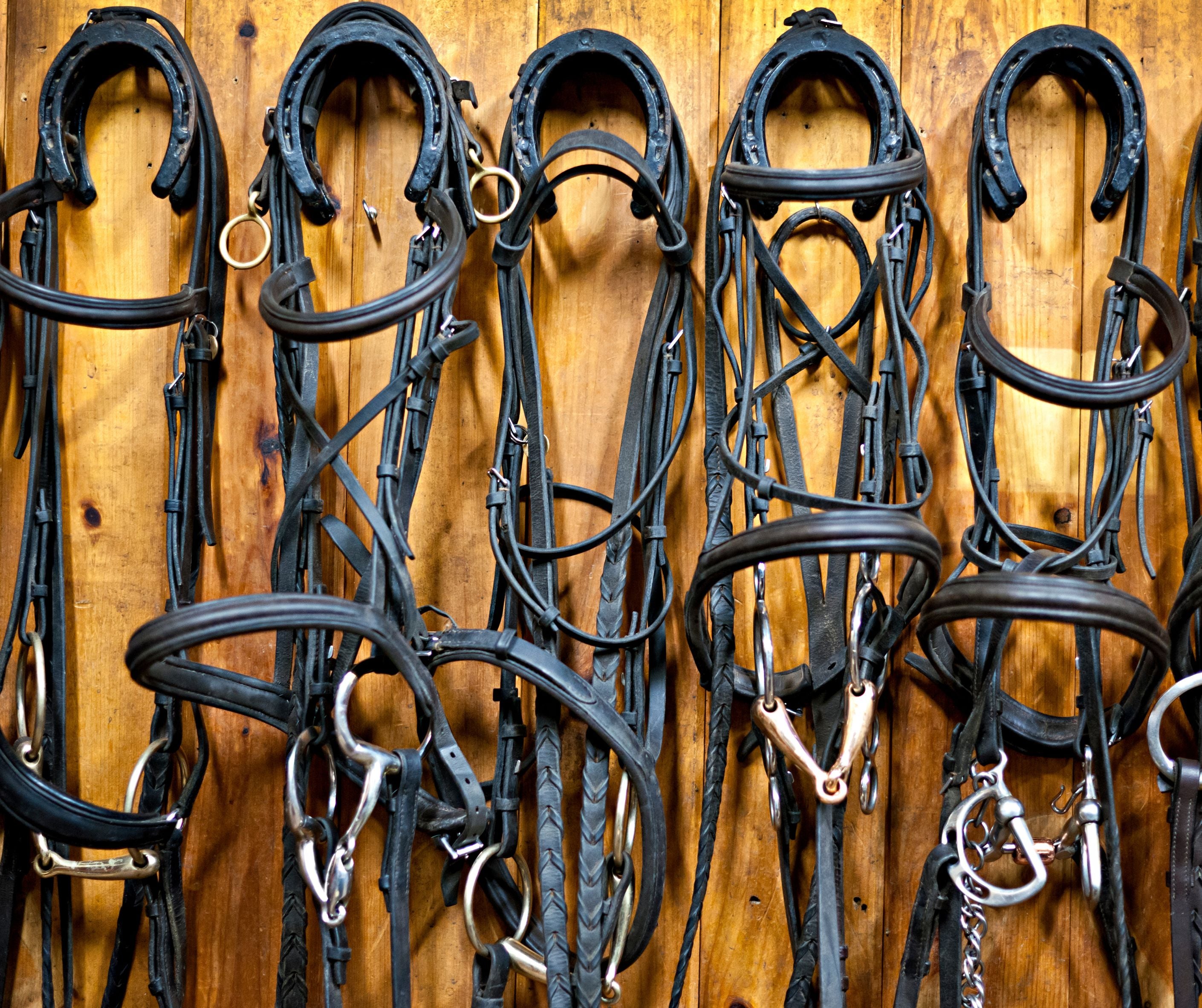 Holmestead Saddlery – South Holmestead Saddlery Ltd IE