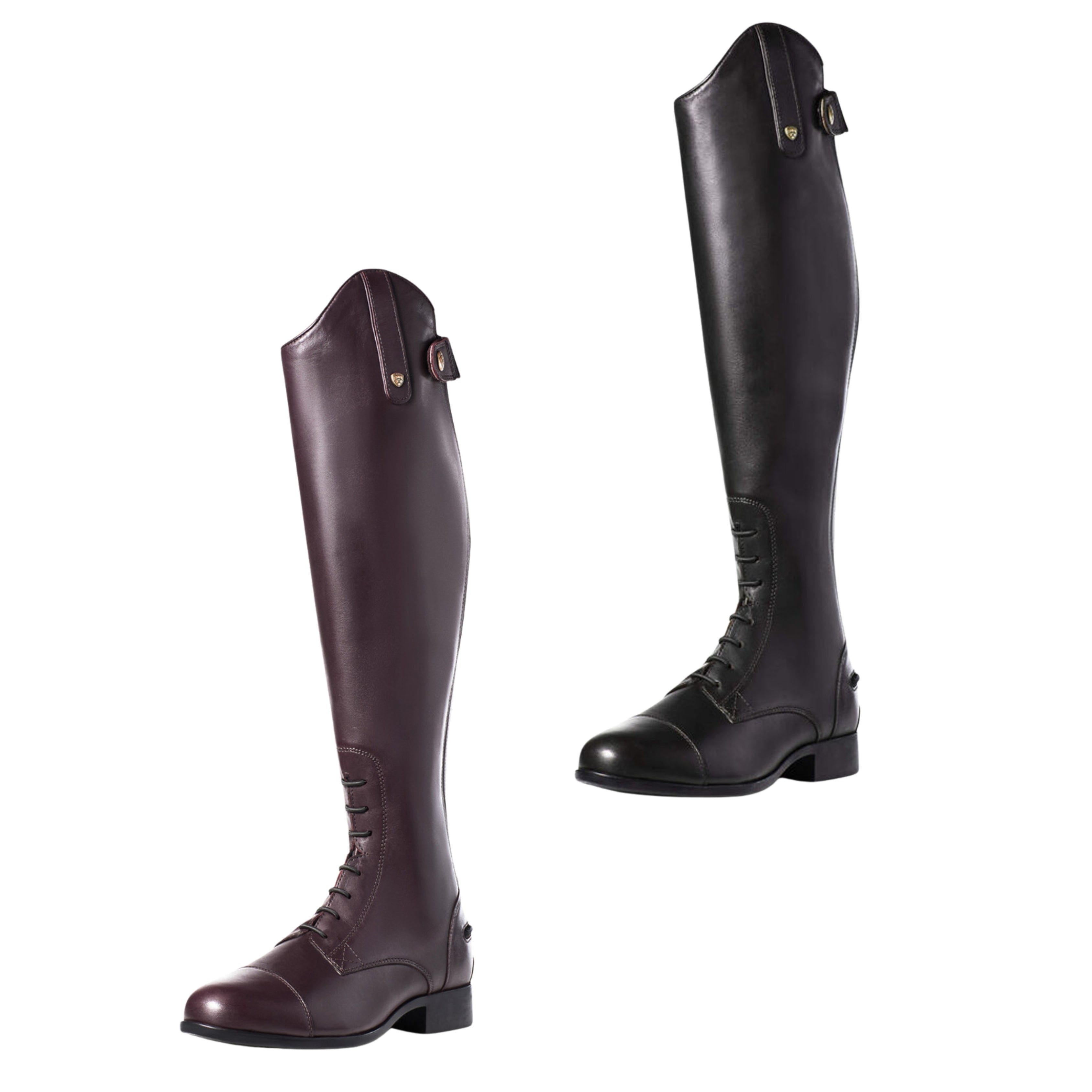 Ariat Heritage Contour II Field Zip Long Boots Women's (Regular Height ...