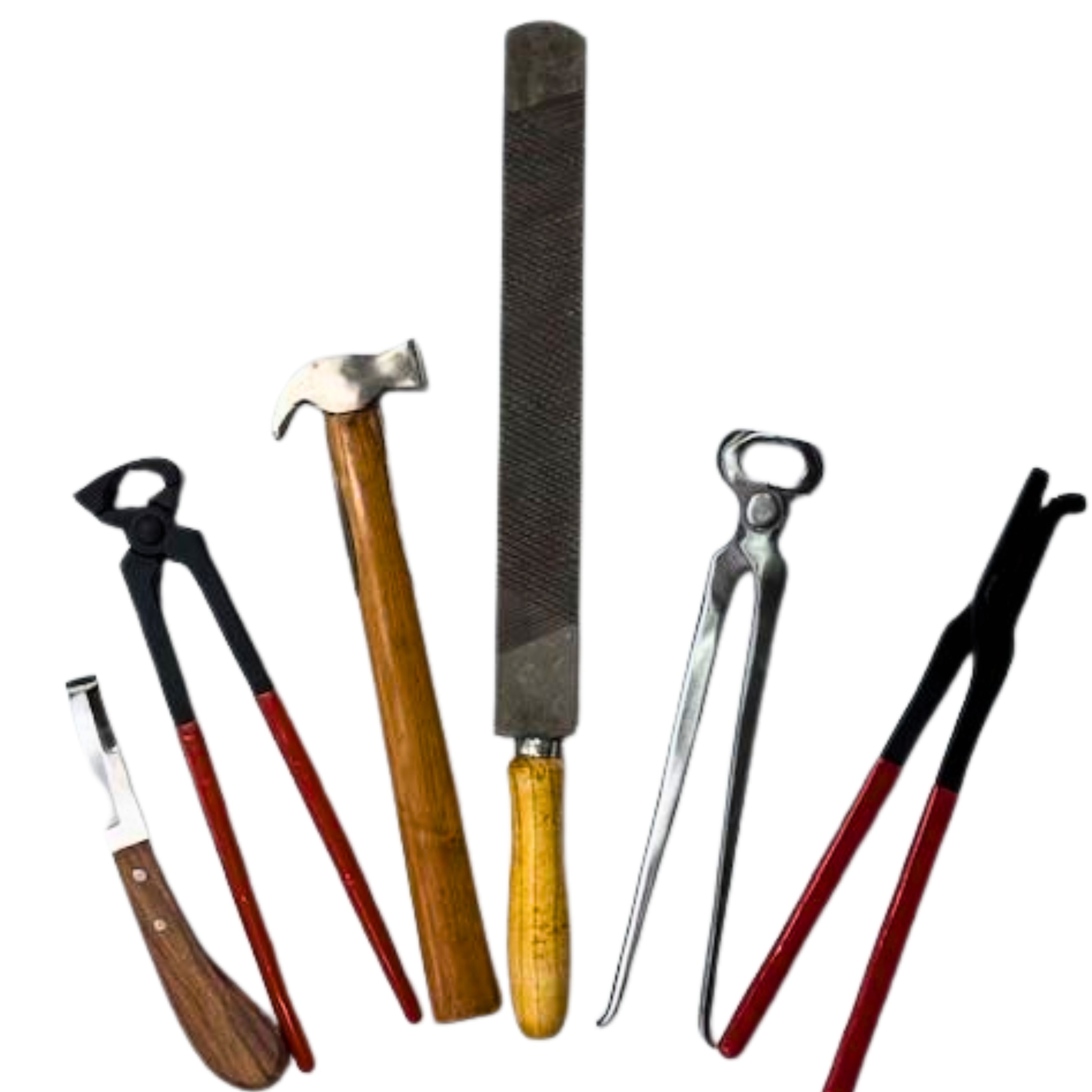 Holmestead Saddlery Farrier Tools – South Holmestead Saddlery Ltd IE