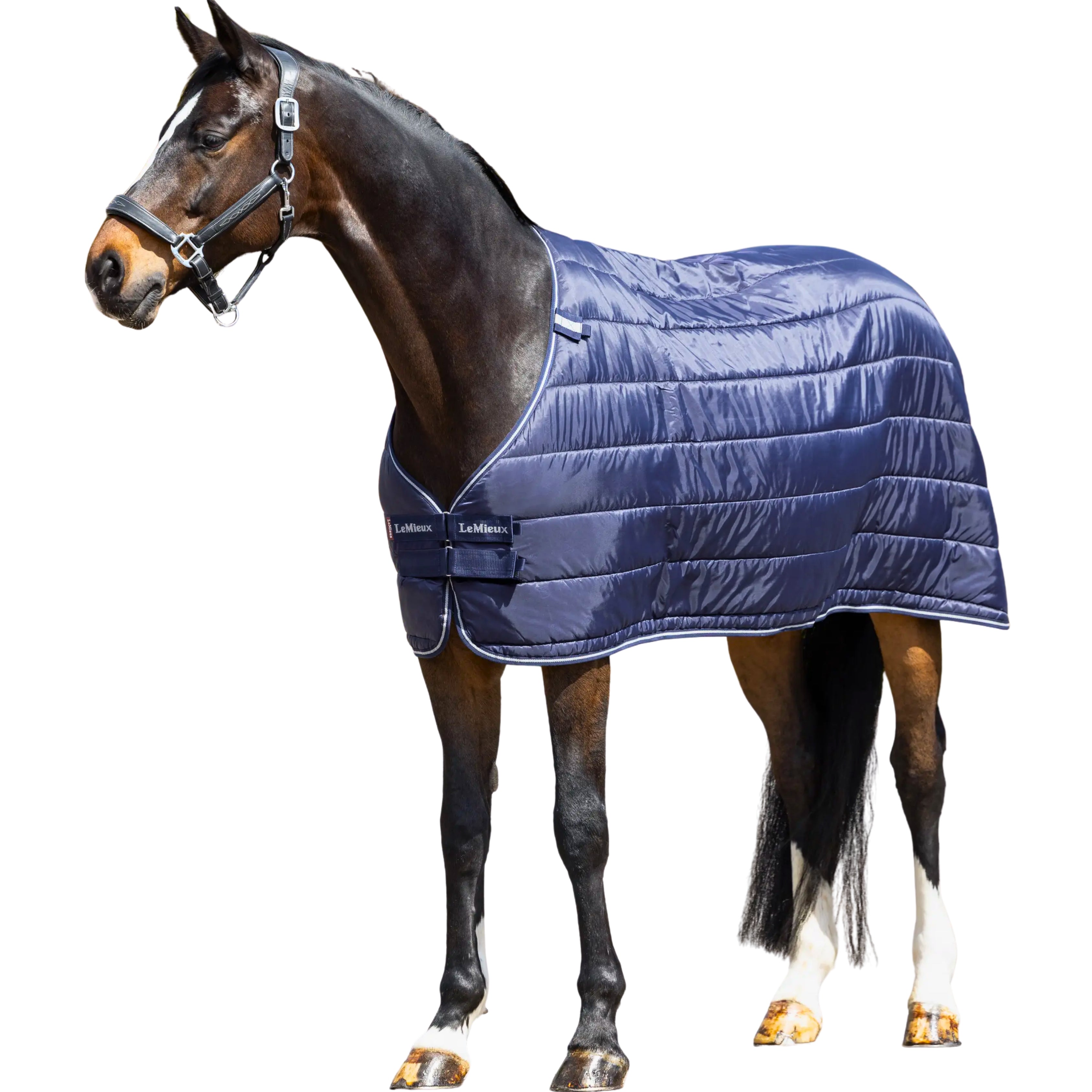 LeMieux Rug Liner 100g (New Trim) – South Holmestead Saddlery Ltd IE
