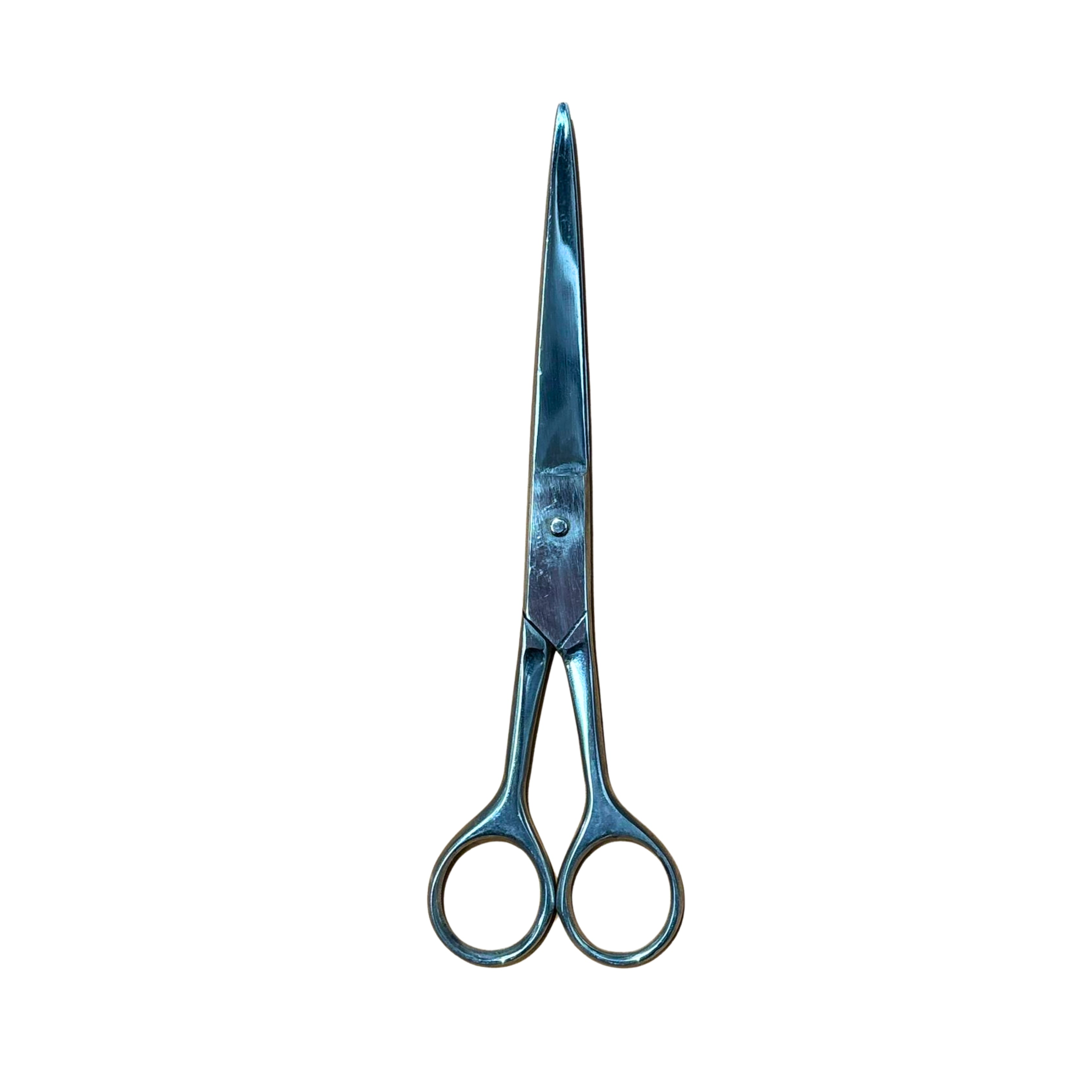 Holmestead Saddlery Tail & Mane Scissors – South Holmestead Saddlery Ltd IE